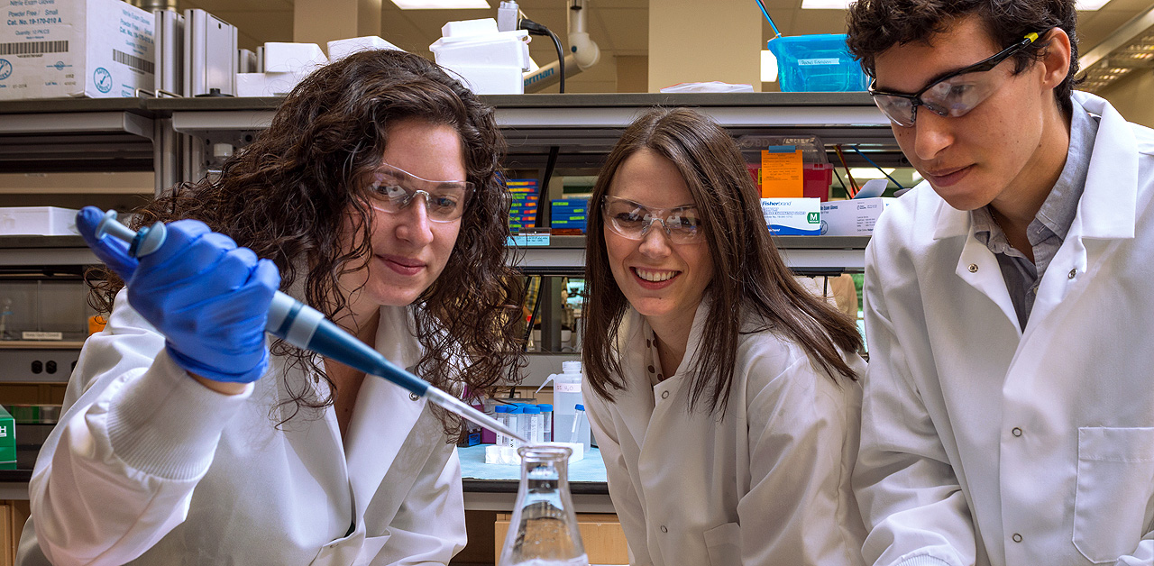Biomedical Engineering Major Finder University Of Delaware Biomedical Engineering Major Finder University Of Delaware