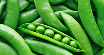 Peas | Cooperative Extension | University of Delaware