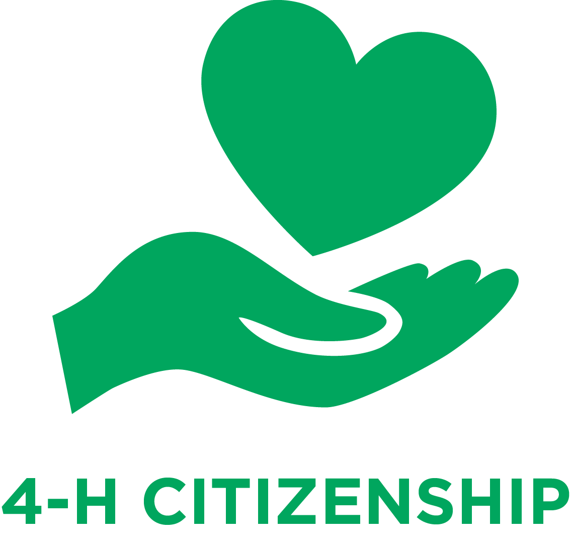 4-H Curriculum | 4-H Youth Development | Cooperative Extension ...