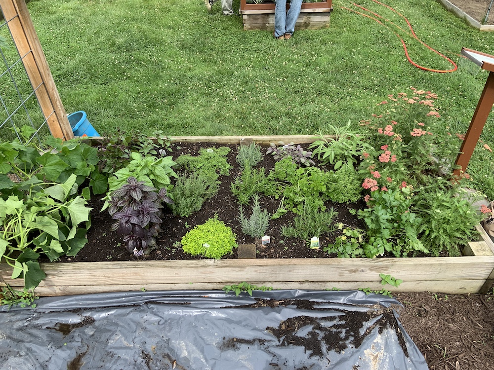 An Extension Scholar Tells All: Learning to Garden with the Delaware ...