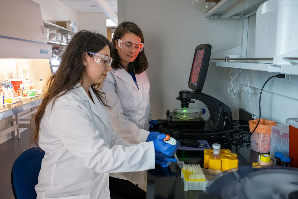 Medical Sciences PhD | Medical & Molecular Sciences | University of ...