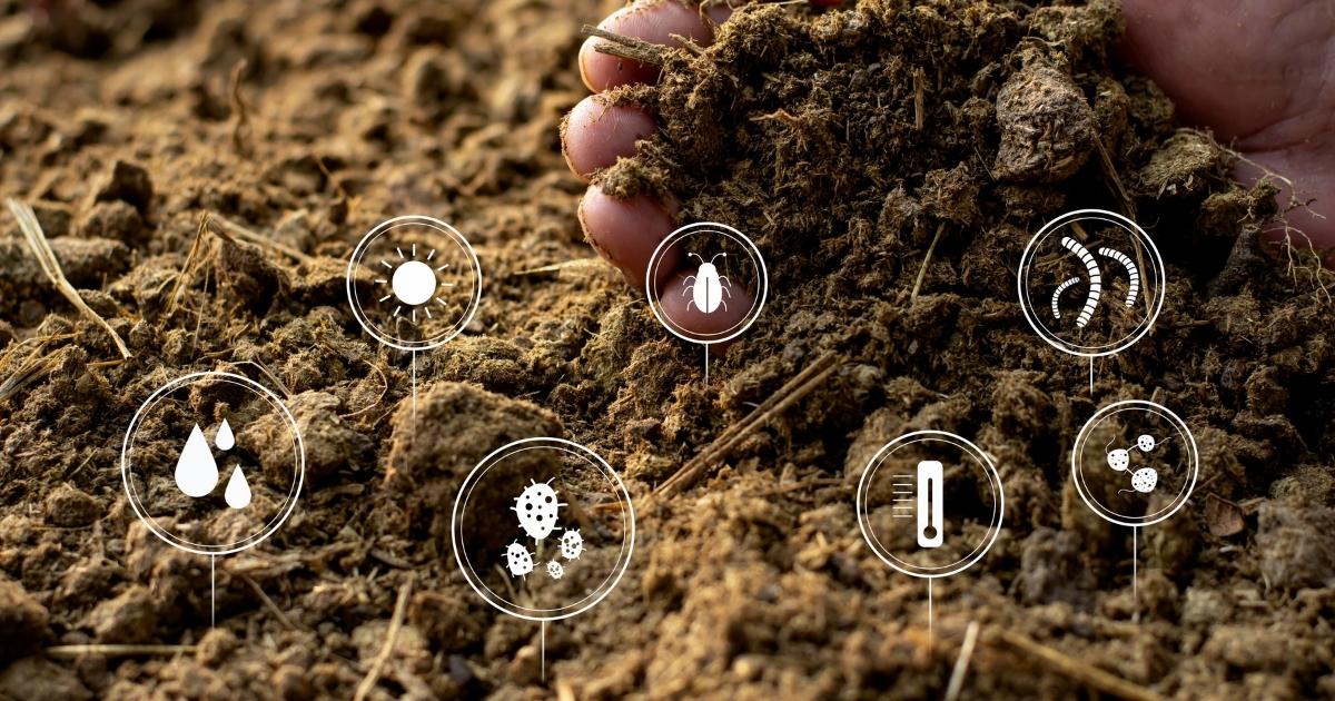 Nutrient Management | Cooperative Extension | University of Delaware