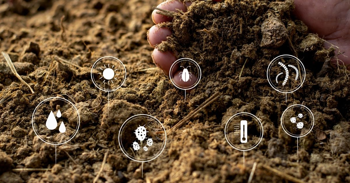 Your Questions Answered: Nutrient Management Continuing Education ...