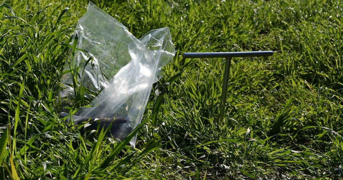 Starting A Yearly Soil Testing Program | College of Agriculture ...