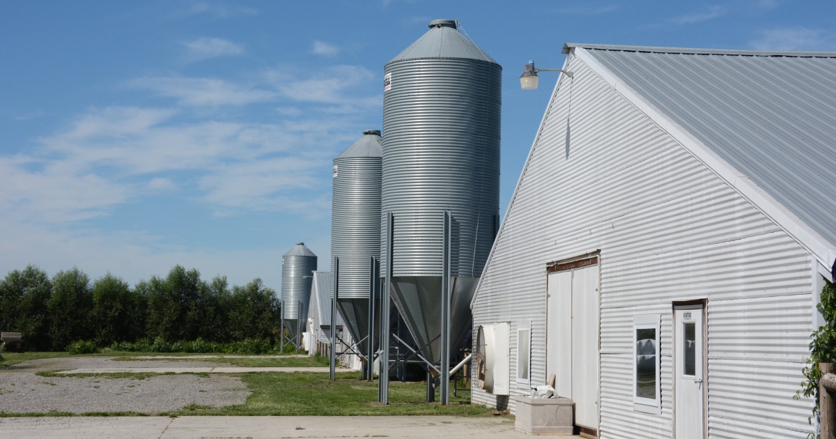 poultry buildings