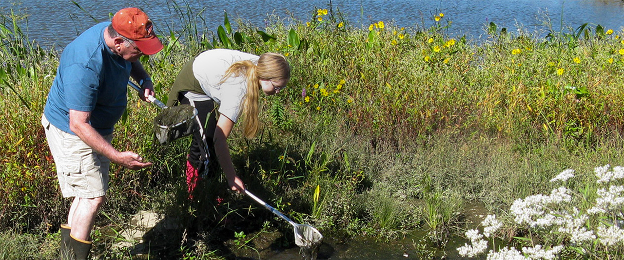 Cooperative Extension | College of Agriculture & Natural Resources ...
