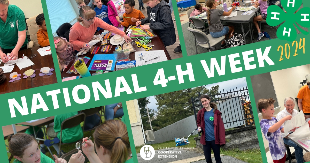 National 4-H Week