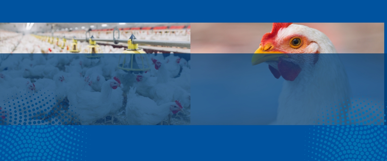 Cooperative Extension | College of Agriculture & Natural Resources ...