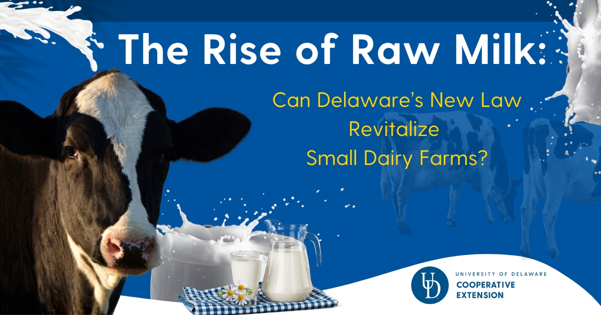 Fresh Milk Cow Benefits