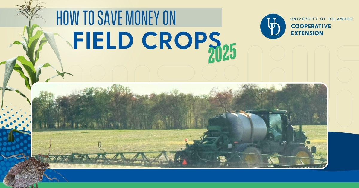 How to Save Money on Field Crops This Year