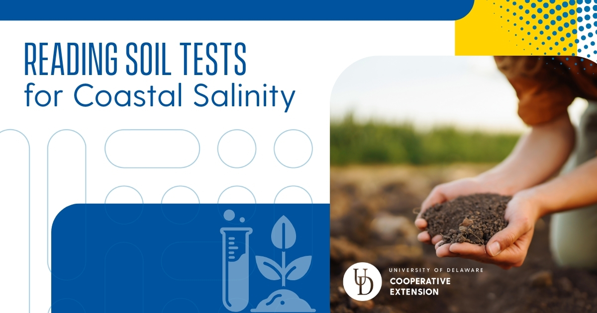 Reading Soil Tests for Coastal Salinity