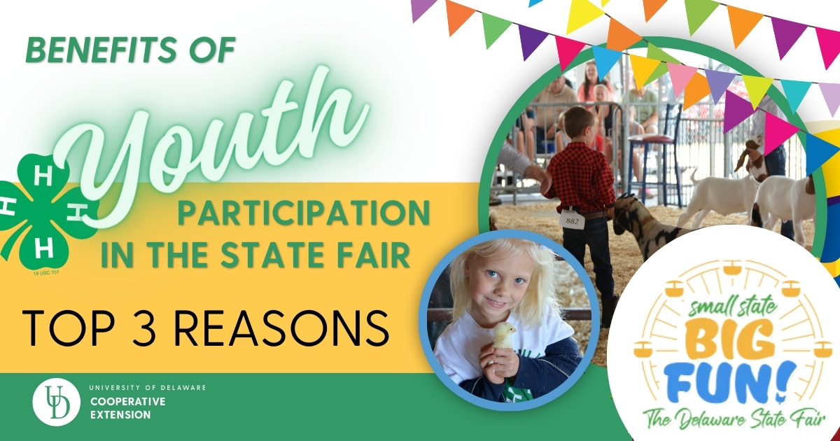 Benefits of Youth Participation in the State Fair