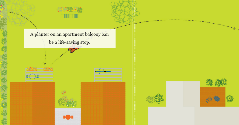 Doug Tallamy | Entomology and Wildlife Ecology | University of Delaware