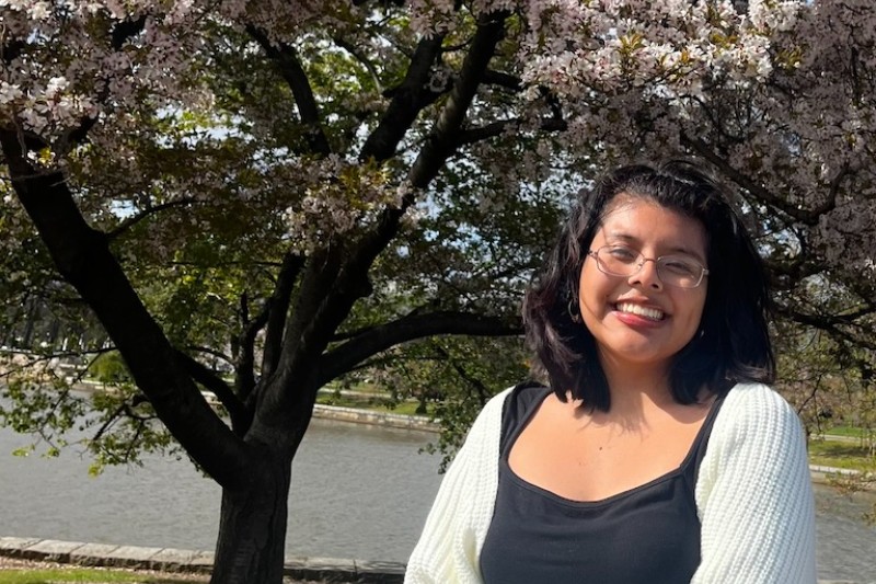 Associate in Arts Program | College of Arts & Sciences | University of ...