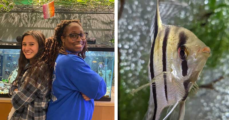 Using Fish to Create Change on Campus