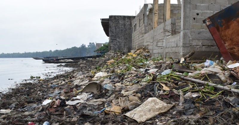 Q&A: Eliot Atekwana on Cameroon's Wouri Estuary