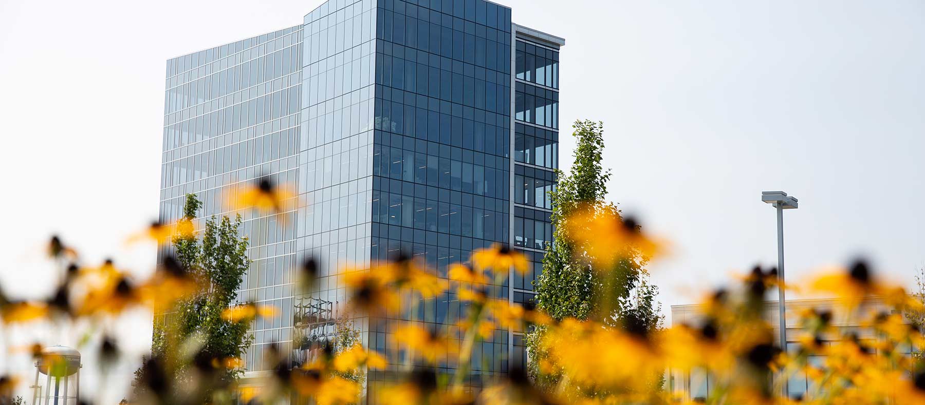 October College of Health Sciences For the Record