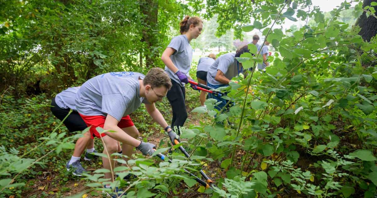 8 Ways to Volunteer on MLK Day and Beyond