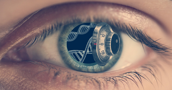 Genetic insights on eye disease