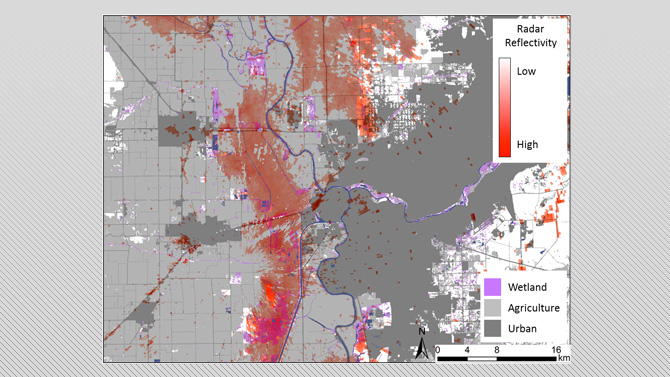 Radar tracks waterfowl, avian influenza | UDaily
