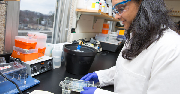 Biotech information session | UDaily