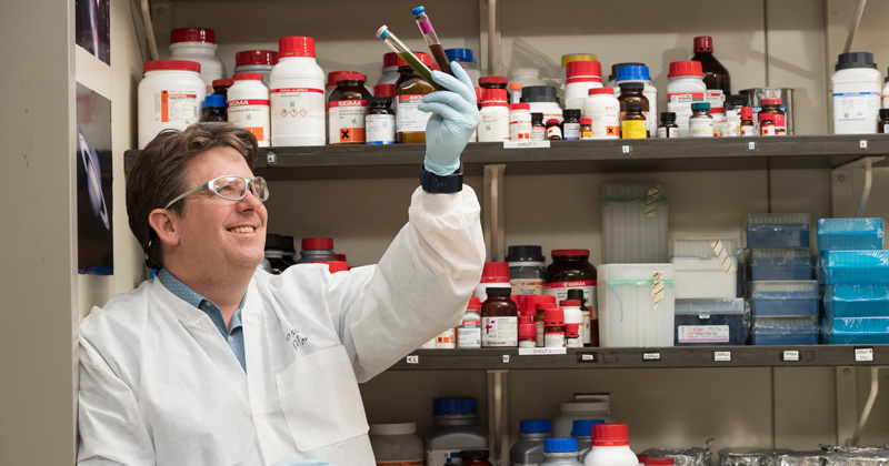 Discovering a new compound