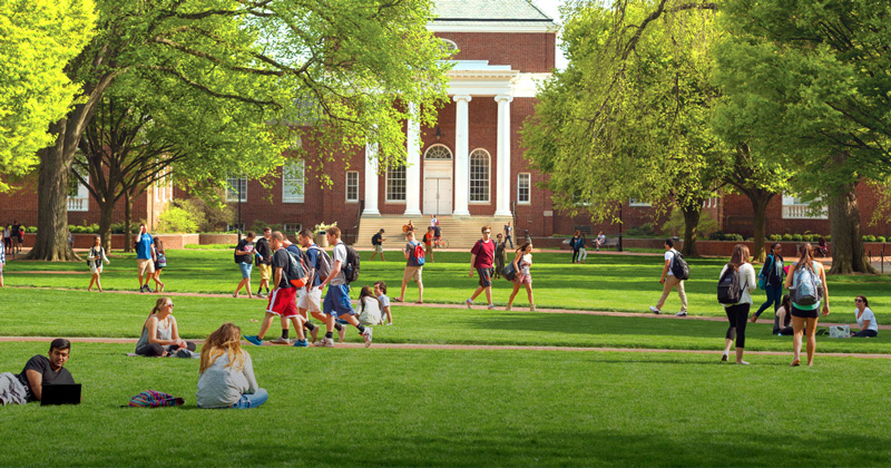 Applications reach new record | UDaily