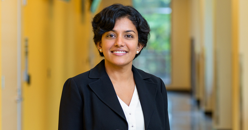 A 'hat trick' of honors for UD's Jayaraman | UDaily