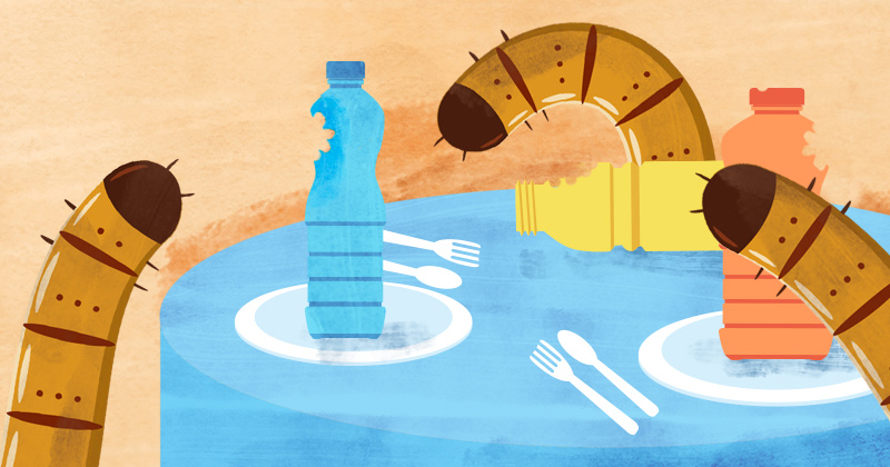 Untapped potential | UDaily