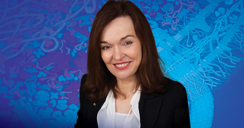 A smashing journey through science | UDaily