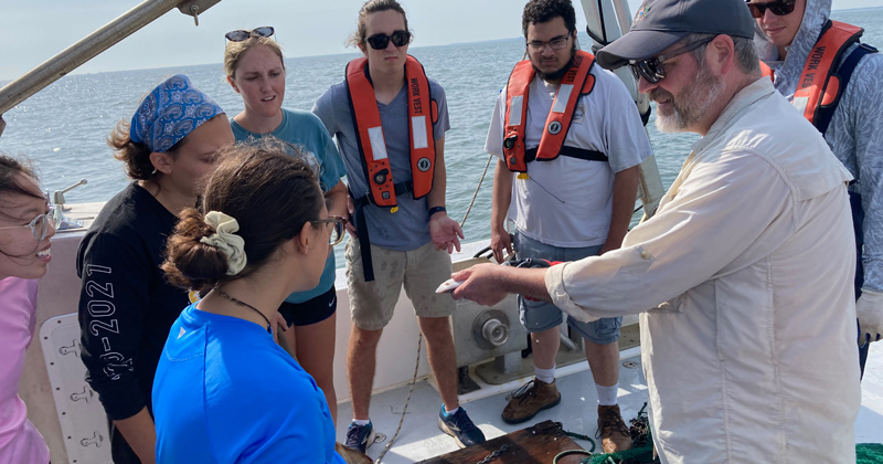 Undergraduate marine research | UDaily