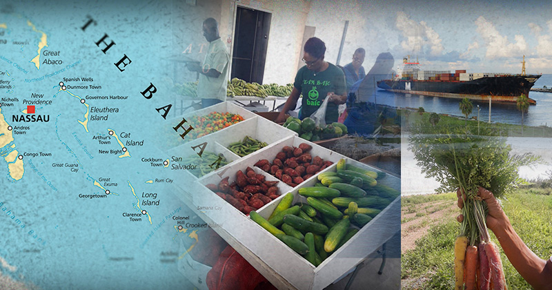 Food insecurity in the Bahamas | UDaily