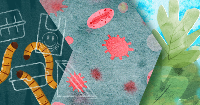 Tackling plastic waste | UDaily