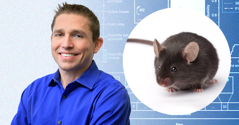 Animal bait and switch | UDaily