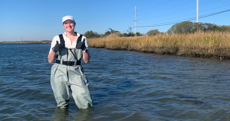 Studying the sea | UDaily