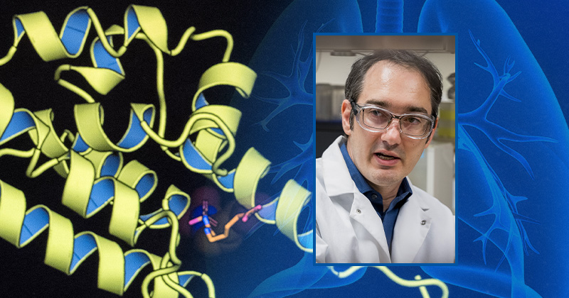 Uncovering molecular pathways | UDaily