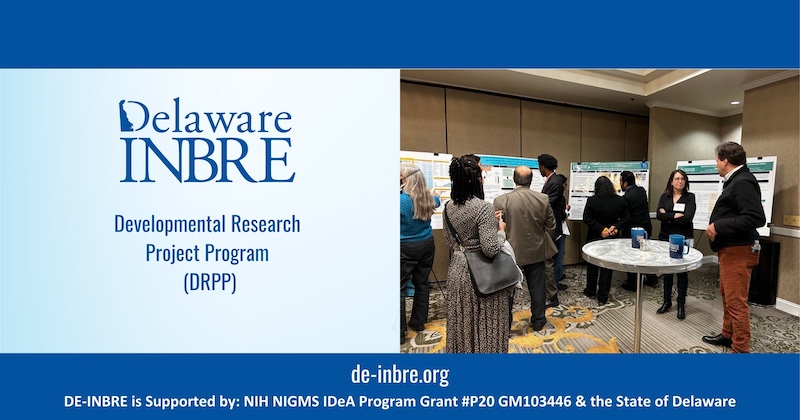 Delaware INBRE announces biomedical research funding opportunities ...