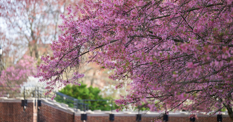 For the Record, May 8, 2026 | UDaily