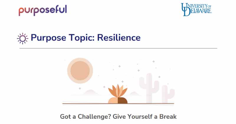 Purposeful App Launched: Includes Access to All Purposeful Tools ...