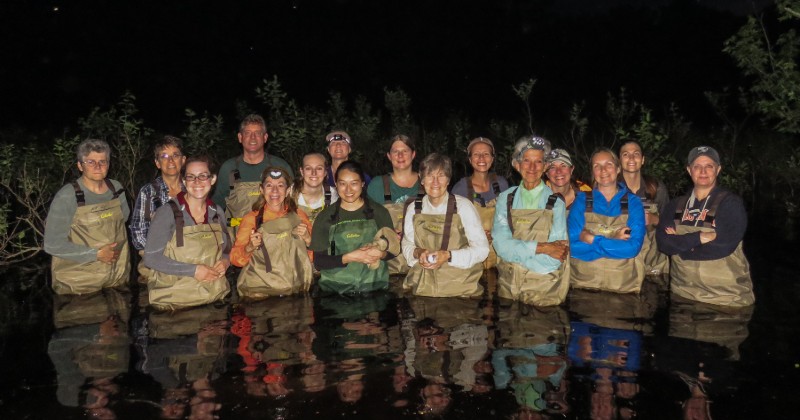 Master Naturalists take on Delaware | Cooperative Extension ...