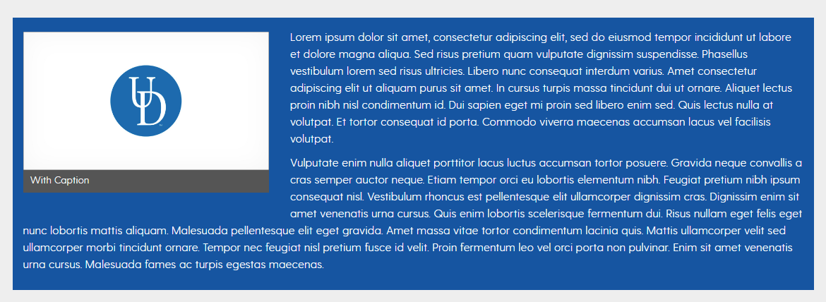 AEM Components List | University of Delaware