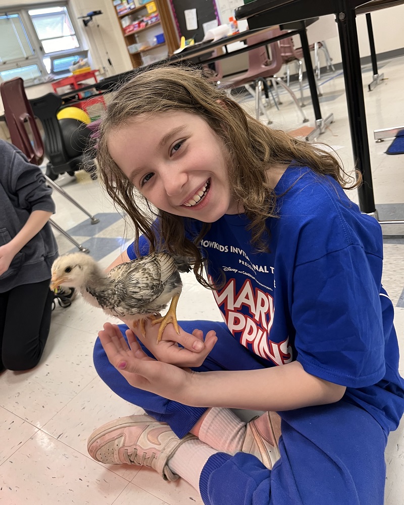 Learning with butterflies, chickens and goats | UDaily